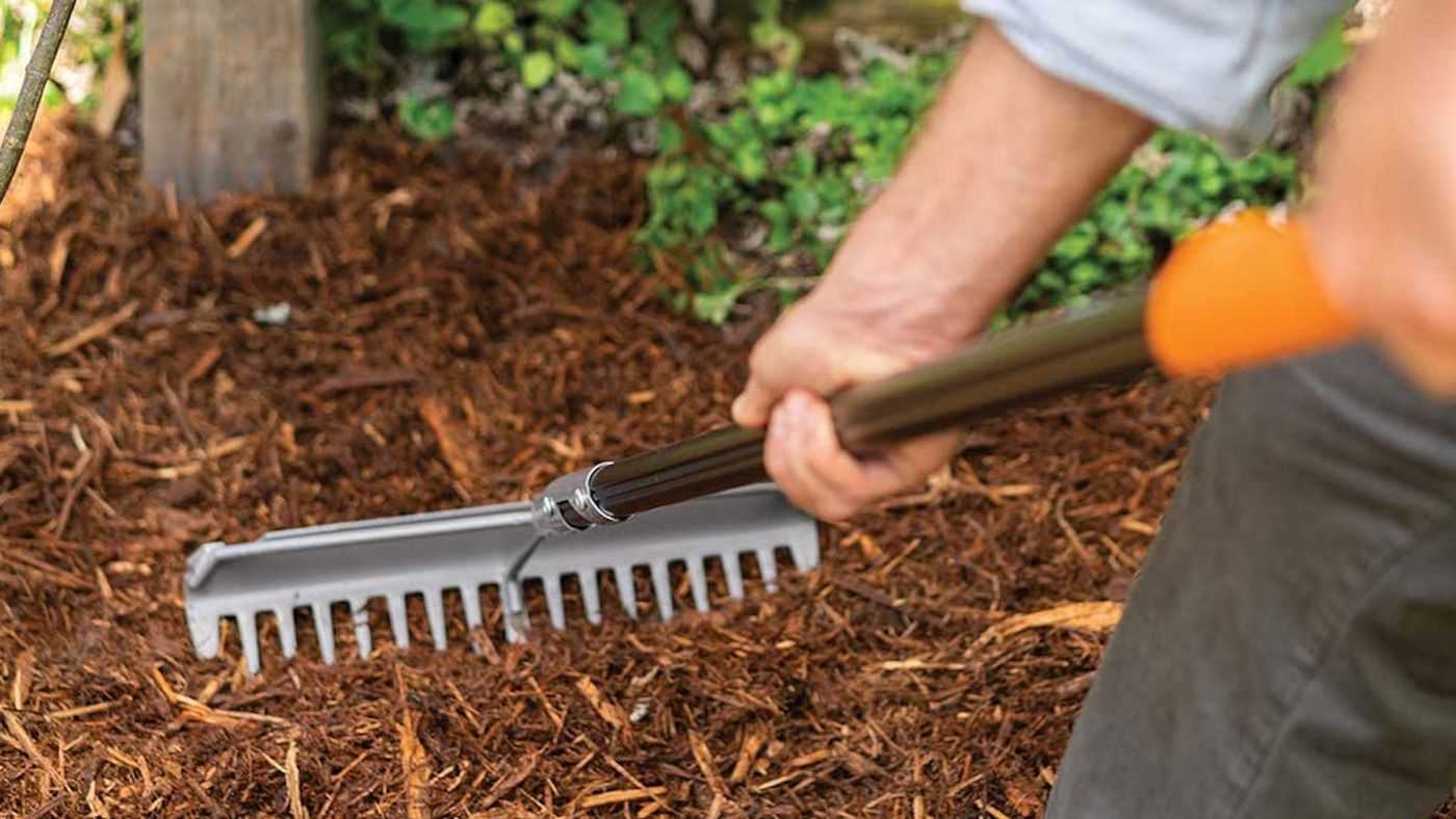I 7 attrezzi fondamentali per coltivare l'orto | Giardinaggio Green