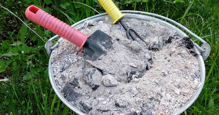Concimare con la cenere, come farlo in modo corretto | Giardinaggio Green